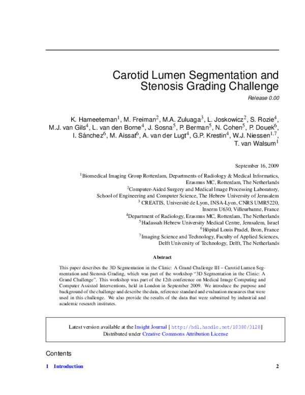 (PDF) Carotid Lumen Segmentation and Stenosis Grading Challenge | Leo ...