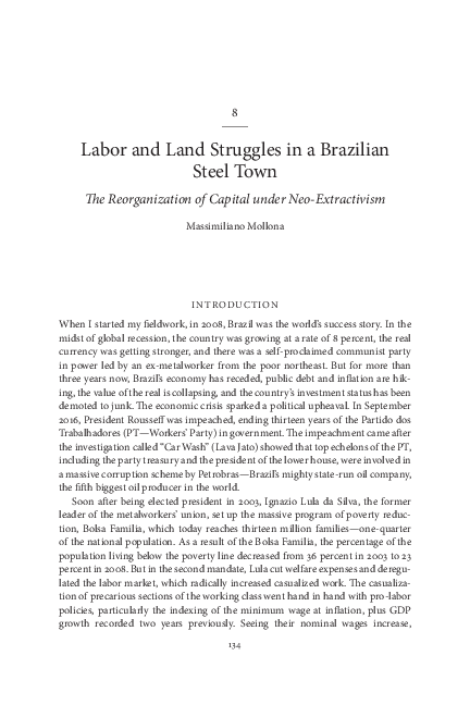 (PDF) 8. Labor and Land Struggles in a Brazilian Steel Town: The ...