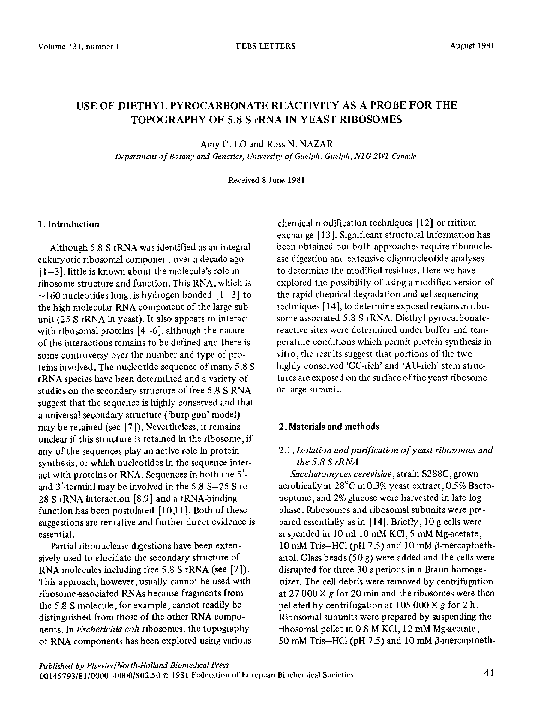 (PDF) Use of diethyl pyrocarbonate reactivity as a probe for the ...
