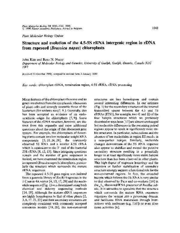 (PDF) Structure and evolution of the 4.5?5S rRNA intergenic region in ...