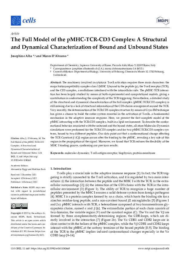 (PDF) The Full Model of the pMHC-TCR-CD3 Complex: A Structural and ...