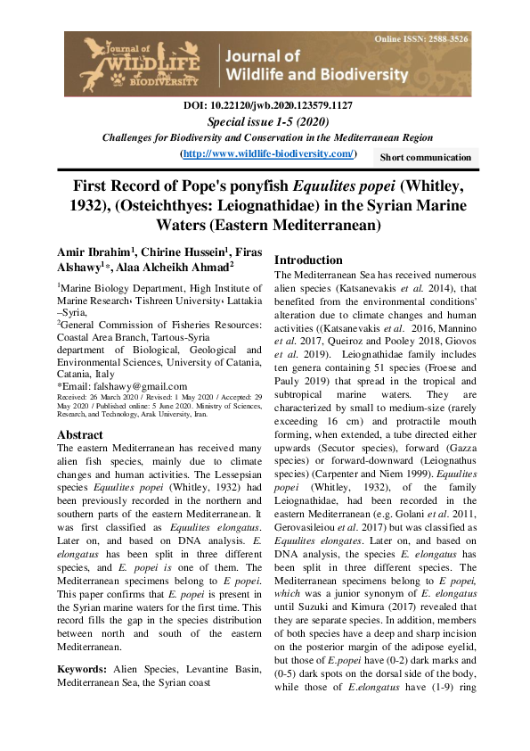 (PDF) First Record of Pope's ponyfish Equulites popei (Whitley, 1932 ...