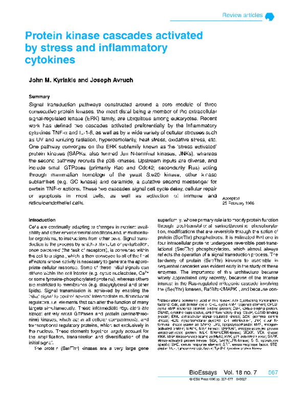 (PDF) Protein kinase cascades activated by stress and inflammatory cytokines