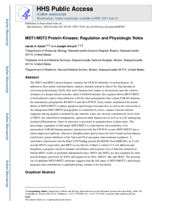 (PDF) MST1/MST2 Protein Kinases: Regulation and Physiologic Roles