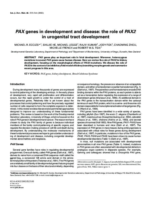 (PDF) PAX genes in development and disease: the role of PAX2 in ...