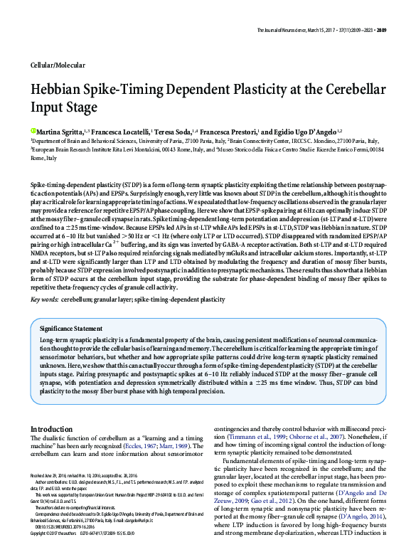 (PDF) Hebbian Spike-Timing Dependent Plasticity at the Cerebellar Input Stage