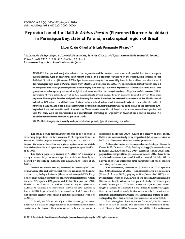 (PDF) Reproduction of the flatfish Achirus lineatus (Pleuronectiformes ...