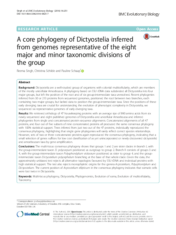 (PDF) A core phylogeny of Dictyostelia inferred from genomes ...