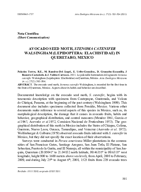 (PDF) Avocado seed moth, stenoma catenifer walsingham (lepidoptera ...