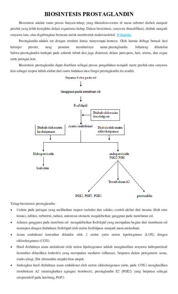 (DOC) BIOSINTESIS PROSTAGLANDIN