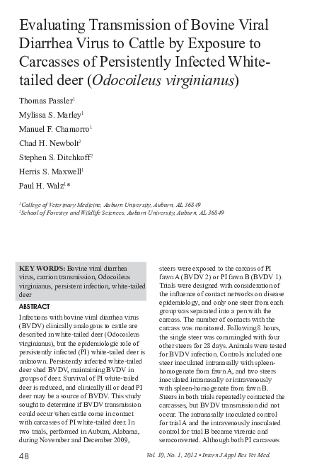 (PDF) Evaluating Transmission of Bovine Viral Diarrhea Virus to Cattle ...