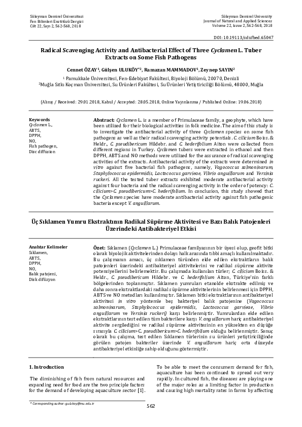 (PDF) European and North American Mountain Archaeology and the Concept ...