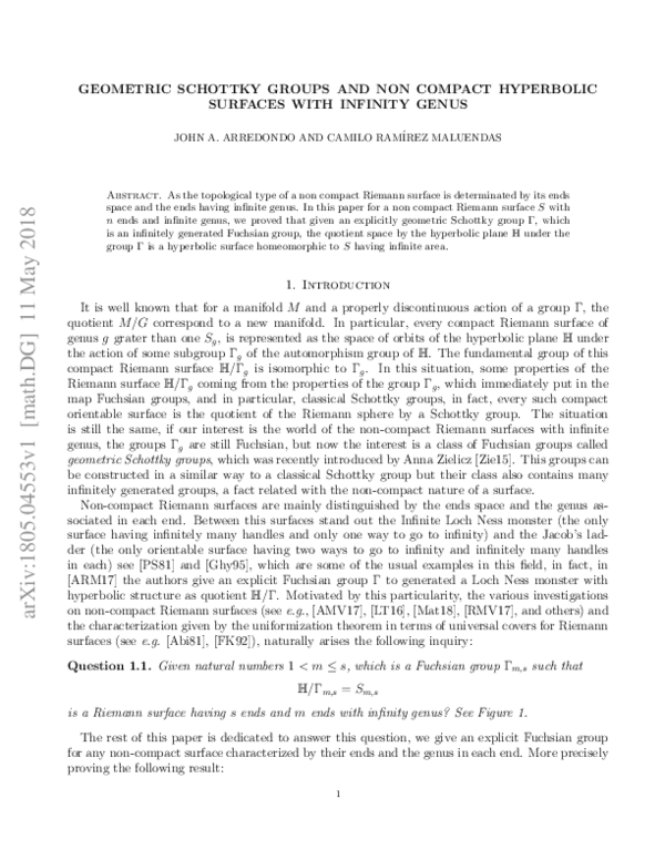 (PDF) Geometric Schotkky groups and non compact hyperbolic surface with ...