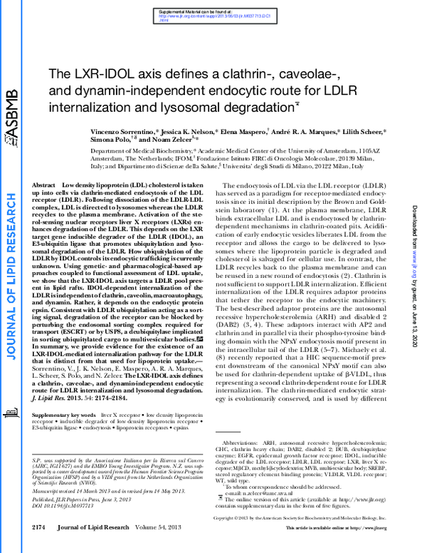 (PDF) The LXR-IDOL axis defines a clathrin-, caveolae-, and dynamin ...