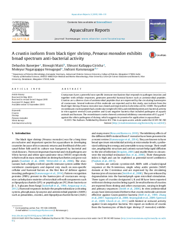 (PDF) A crustin isoform from black tiger shrimp, Penaeus monodon ...