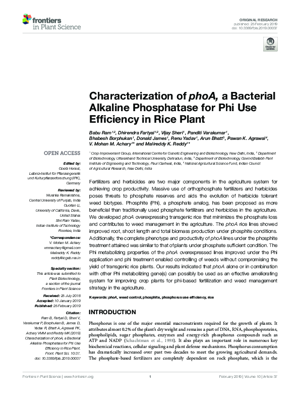 (PDF) Characterization of phoA, a Bacterial Alkaline Phosphatase for ...
