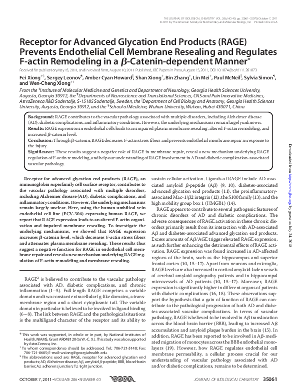 (PDF) Receptor for advanced glycation end products (RAGE) prevents ...