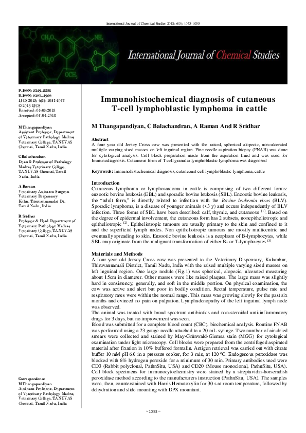 (PDF) Immunohistochemical diagnosis of cutaneous T-cell lymphoblastic ...