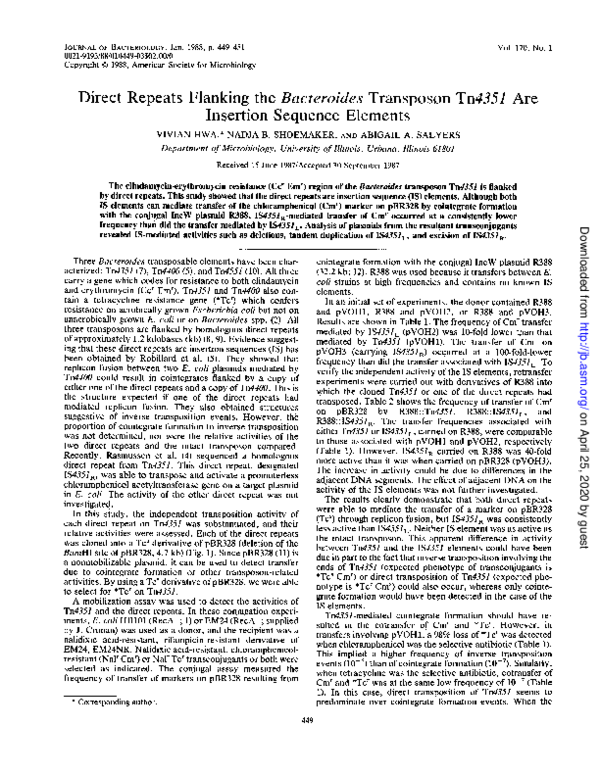 (PDF) Paracetamol Poisoning in a Cat and Its Treatment