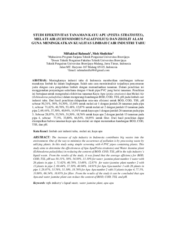 (PDF) Studi Efektivitas Tanaman Kayu Apu (Pistia Stratiotes), Melati ...