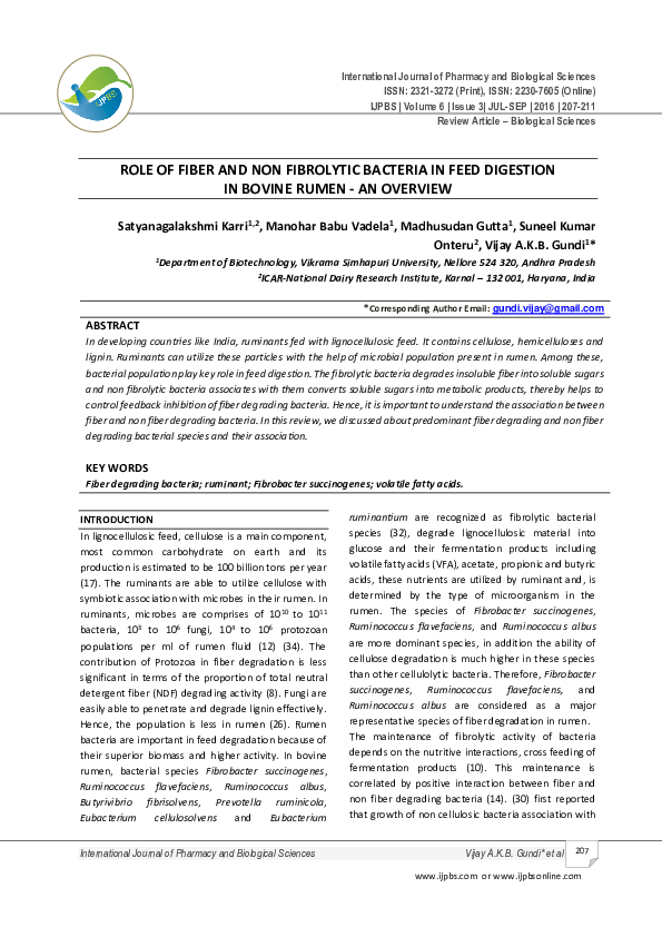 (PDF) Role of Fiber and Non Fibrolytic Bacteria in Feed Digestion in ...
