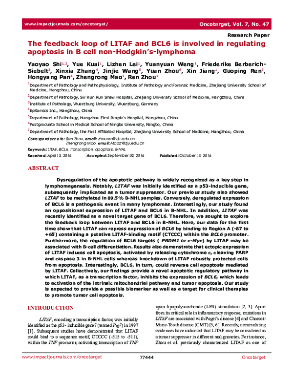 (PDF) The feedback loop of LITAF and BCL6 is involved in regulating ...