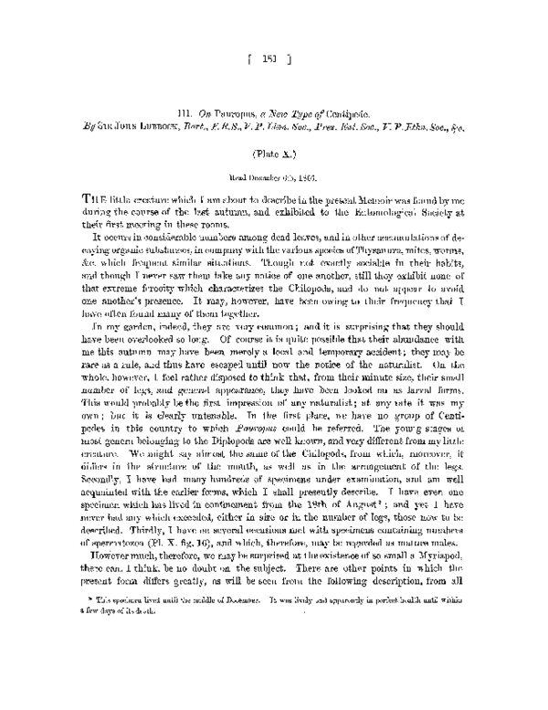 (PDF) III. On Pauropus, a New Type of Centipede