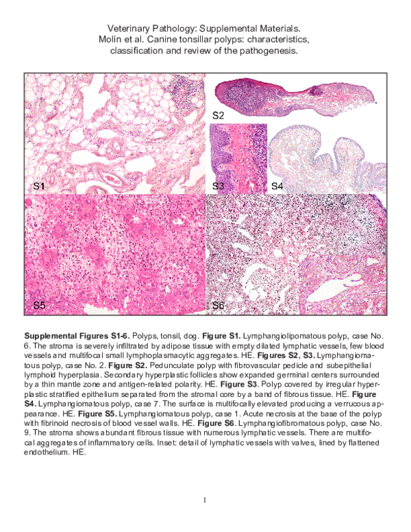 (PDF) Supplemental Material, Combined_supplemental_materials-Molin_et ...