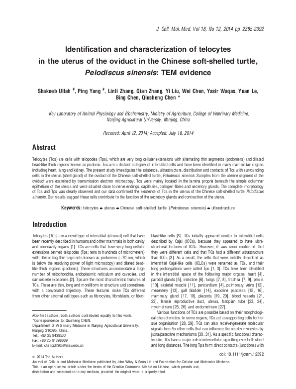 (PDF) Identification and characterization of telocytes in the uterus of ...