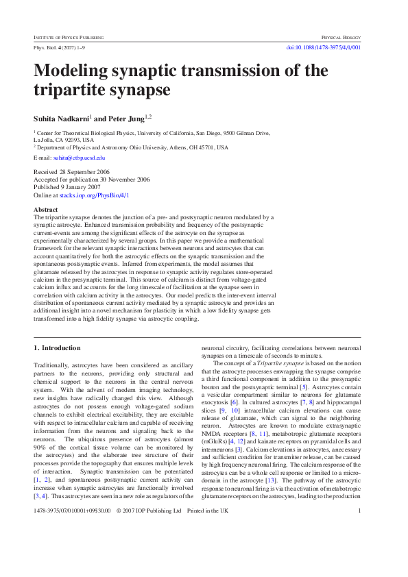 (PDF) Modeling synaptic transmission of the tripartite synapse