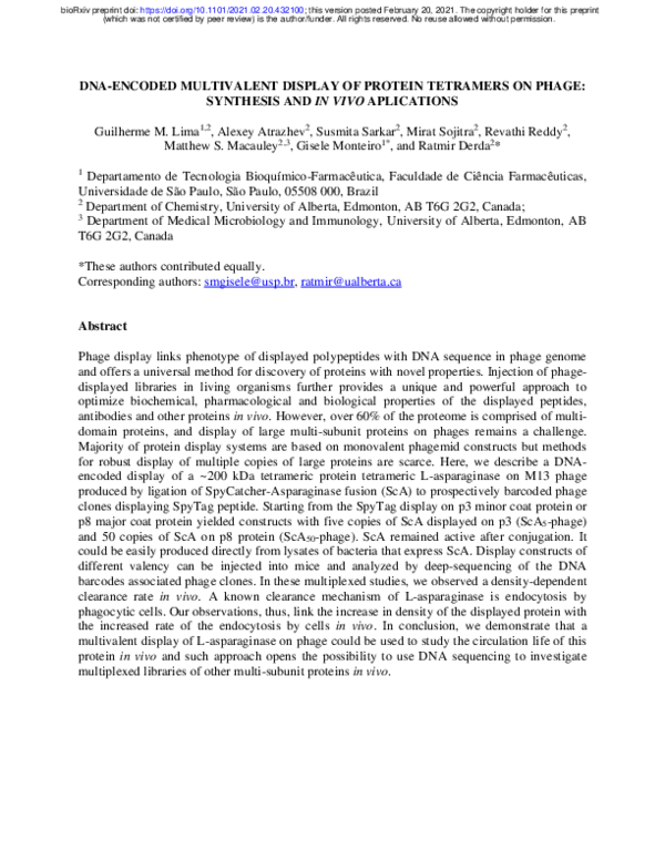(PDF) DNA-Encoded Multivalent Display of Protein Tetramers on Phage ...