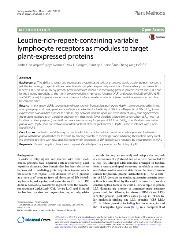 (PDF) Targeting Plant Proteins with VLR Antibodies