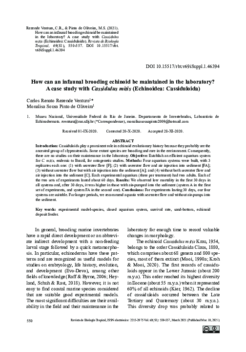 (PDF) How can an infaunal brooding echinoid be maintained in the ...