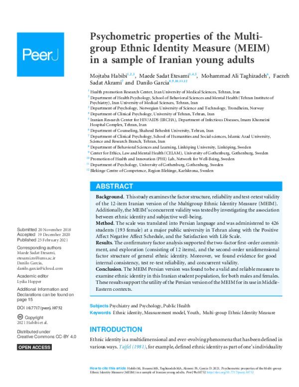 (PDF) Psychometric properties of the Multi-group Ethnic Identity ...