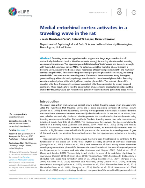(PDF) Medial entorhinal cortex activates in a traveling wave in the rat