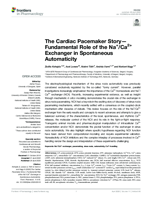 (PDF) The Cardiac Pacemaker Story—Fundamental Role of the Na+/Ca2 ...