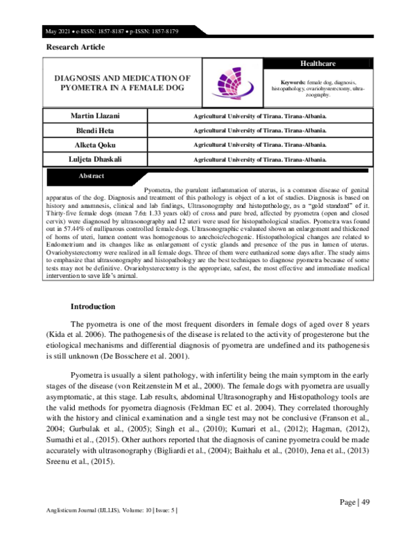(PDF) Diagnosis and Medication of Pyometra in a Female Dog