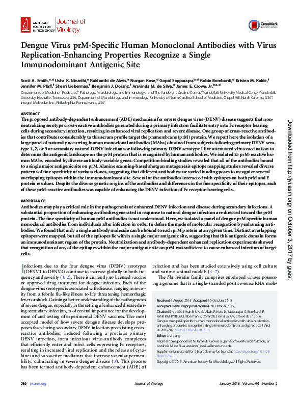 (PDF) Dengue virus prM-specific human monoclonal antibodies with virus ...