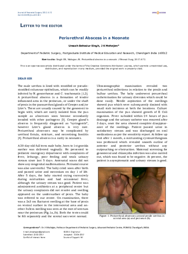 (PDF) Periurethral Abscess in a Neonate