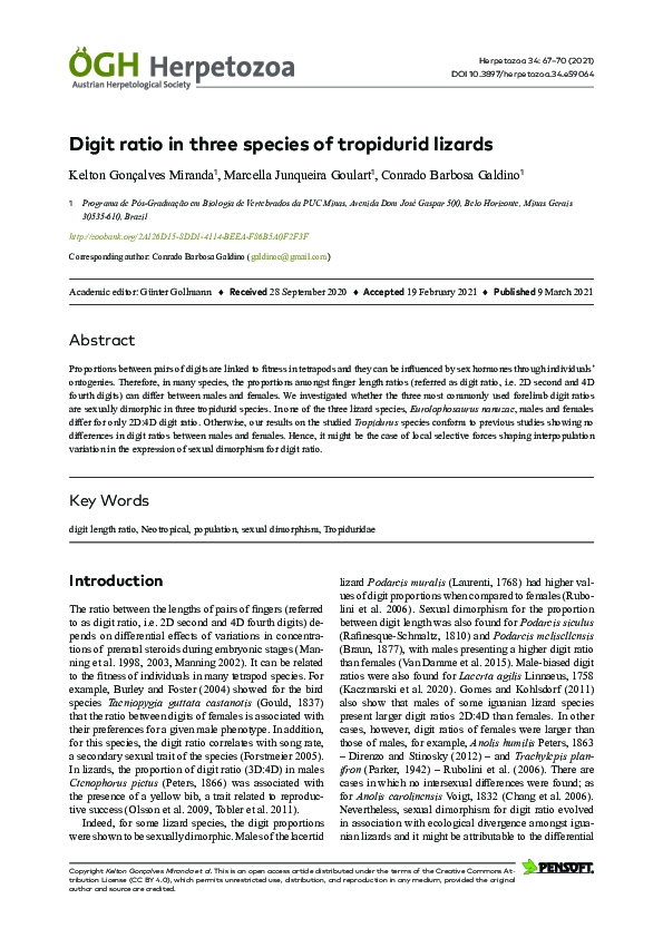 (PDF) Digit ratio in three species of tropidurid lizards