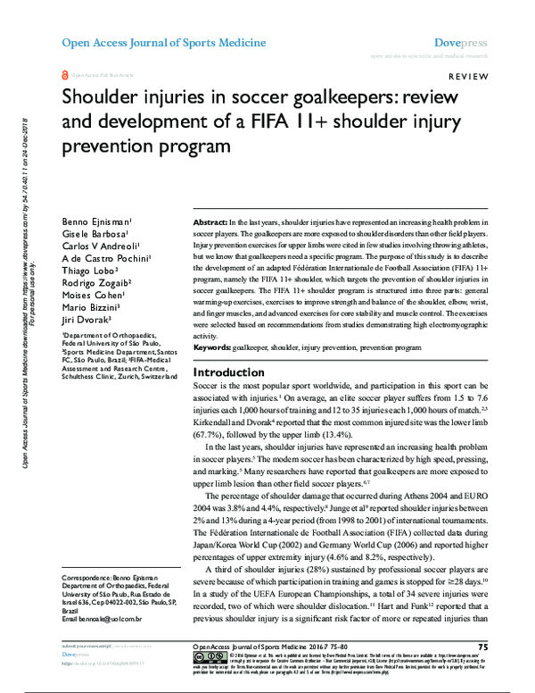 (PDF) Shoulder injuries in soccer goalkeepers: review and development ...