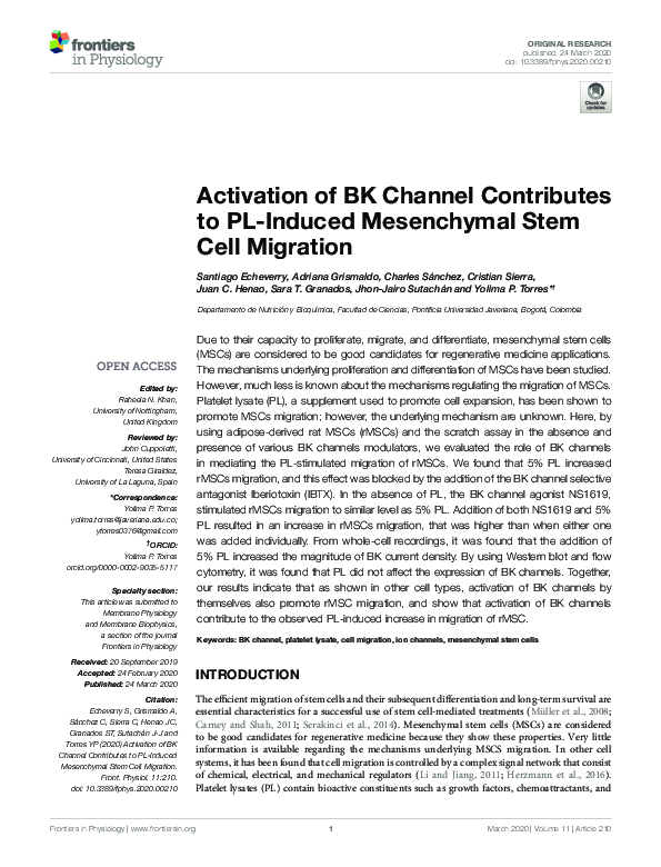 (PDF) BK Channel Activation Enhances PL-Induced MSC Migration
