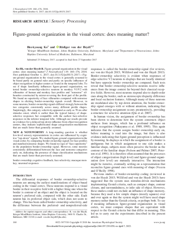 (PDF) Figure-ground organization in the visual cortex: does meaning matter?