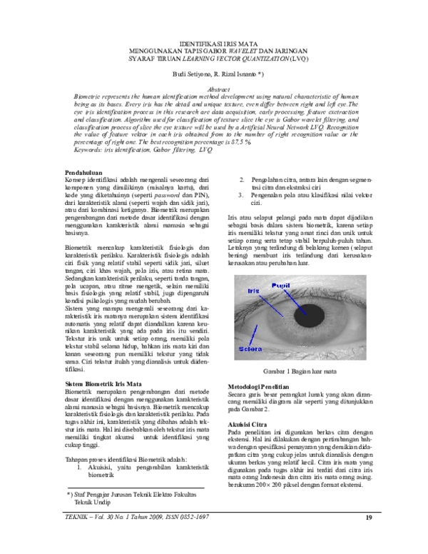 (PDF) Identifikasi Iris MataMenggunakan Tapis Gabor Wavelet Dan JaringanSyaraf Tiruan Learning ...