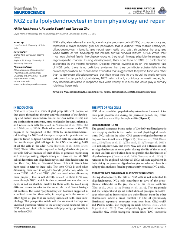 (PDF) NG2 cells (polydendrocytes) in brain physiology and repair ...