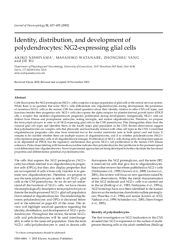 (PDF) Identity, distribution, and development of polydendrocytes: NG2 ...