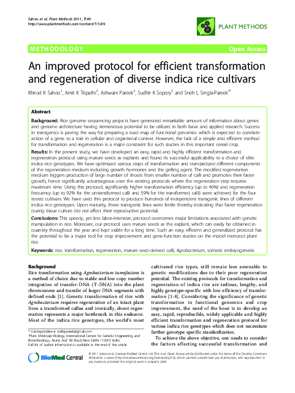 (PDF) An improved protocol for efficient transformation and ...