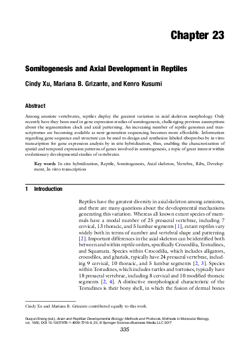 (PDF) Somitogenesis and Axial Development in Reptiles