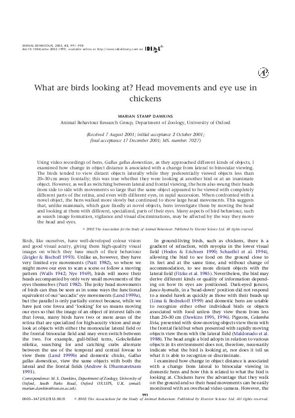 (PDF) What are birds looking at? Head movements and eye use in chickens