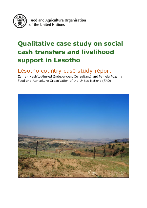 (PDF) Qualitative case study on social cash transfers and livelihood ...
